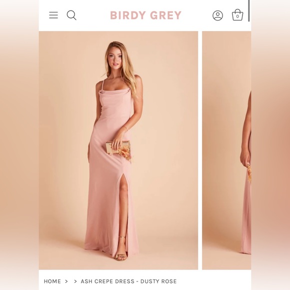 Birdy Grey | Dresses | Birdy Grey Bridesmaids Dress Dusty Rose Style ...